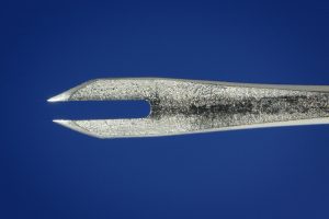 Smallpox Vaccine Scars: Why Do They Happen? - Health Research Policy